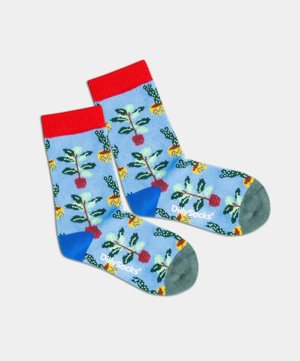 Kindersocken | Lil Pottery | DillySocks® Official