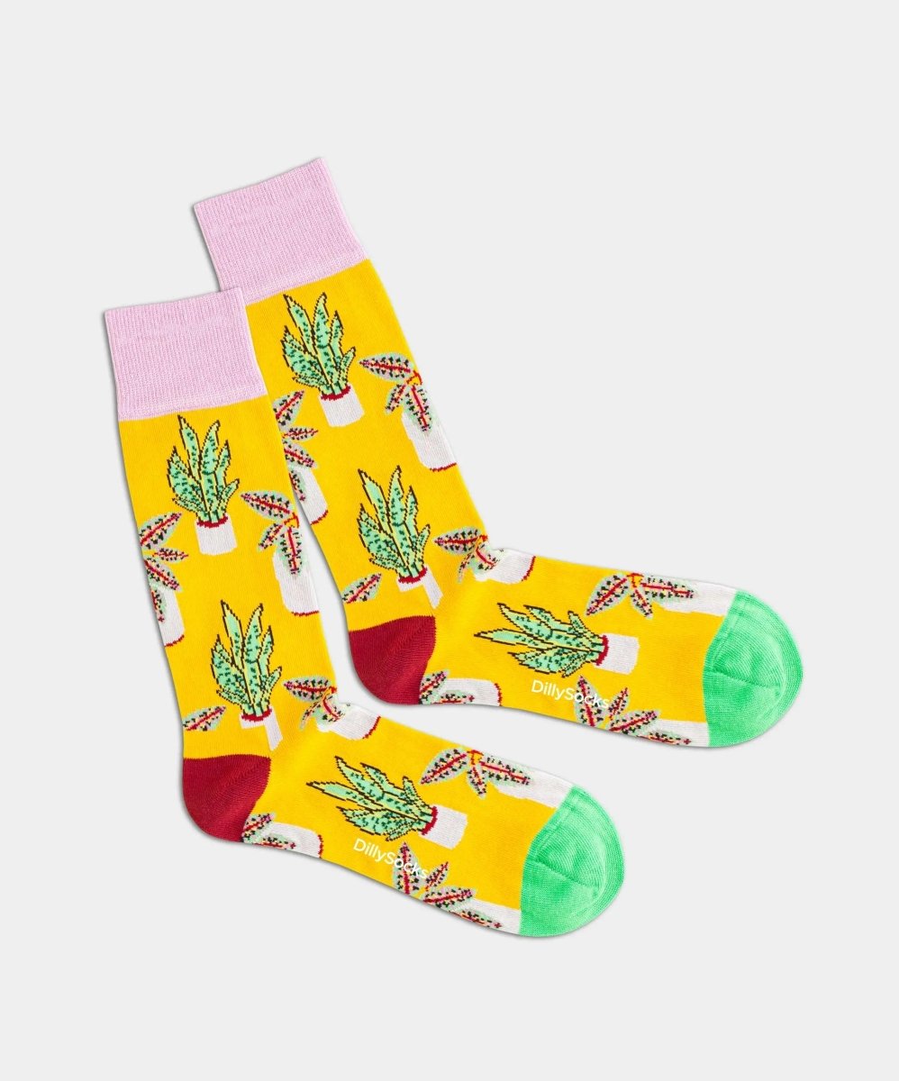 Bunte Socken | Beach Pottery | DillySocks® Official