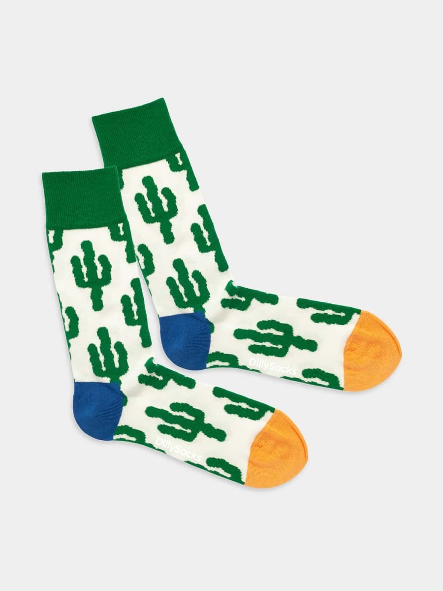 Colorful socks | Desert Plants | DillySocks® Official
